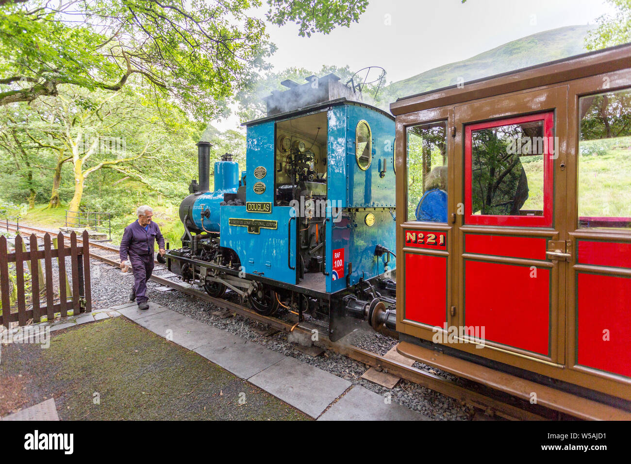 The 1918 0-4-0WT steam loco 'Douglas' pauses at Dolgoch station on the ...
