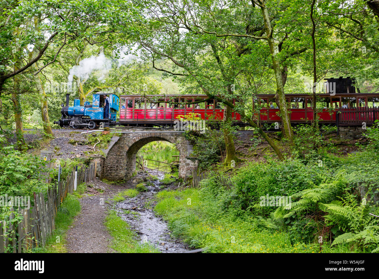 The 1918 0-4-0WT steam loco 'Douglas' leaving Dolgoch station on the ...