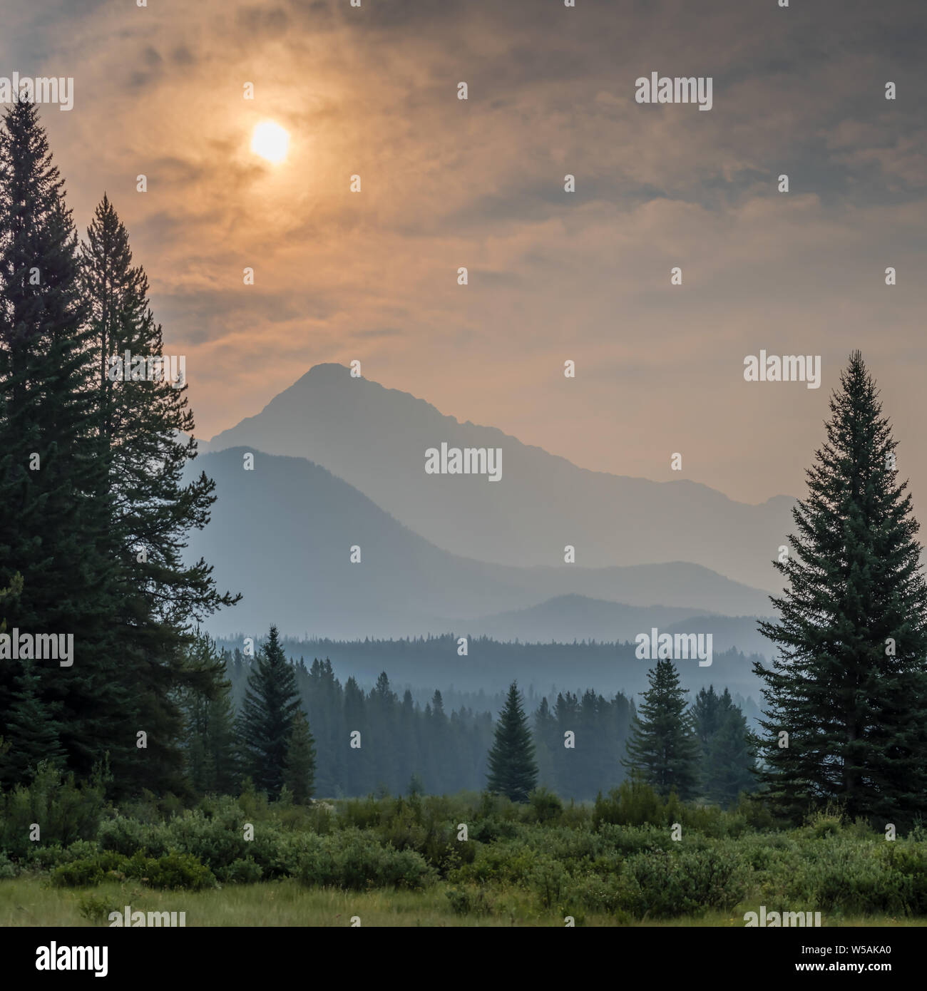 Forest Fire Smoke in Banff National Park, Alberta, Canada Stock Photo ...