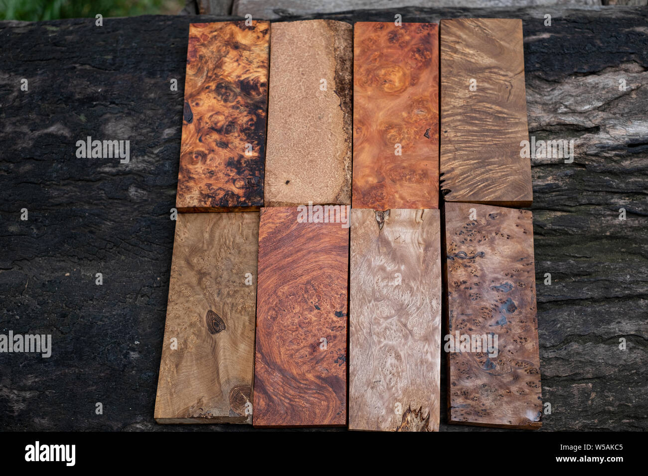 Sawed timber burl wood striped prepare for the crafts Stock Photo - Alamy