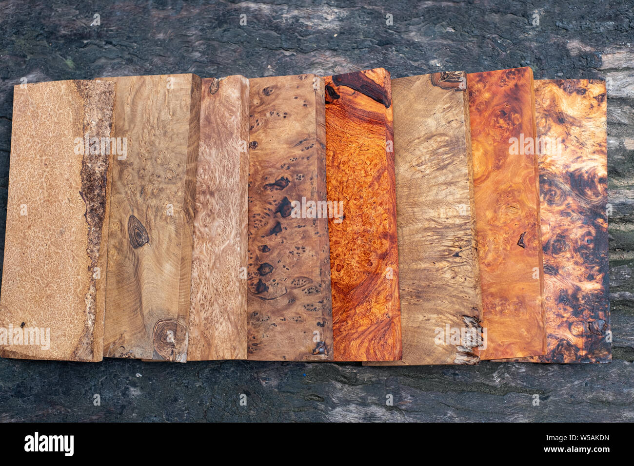 Sawed timber burl wood striped prepare for the crafts Stock Photo - Alamy