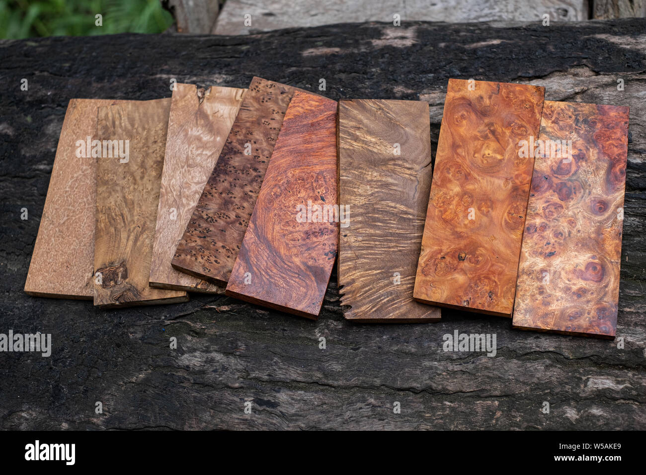 Sawed timber burl wood striped prepare for the crafts Stock Photo - Alamy