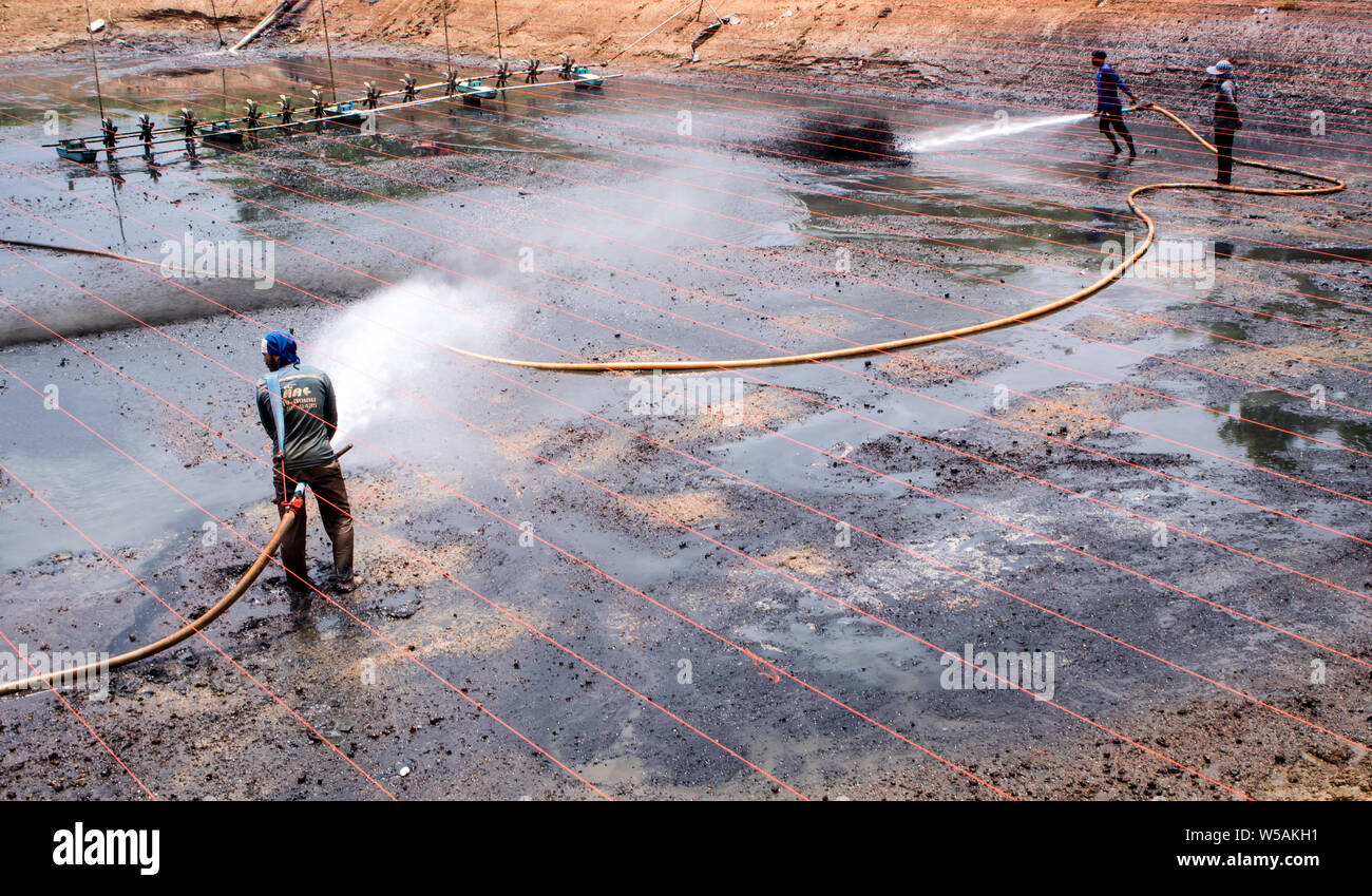 Black bottom mud hi-res stock photography and images - Alamy