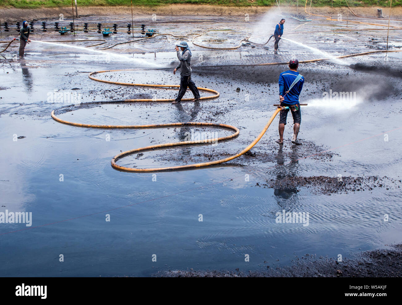 Black bottom mud hi-res stock photography and images - Alamy