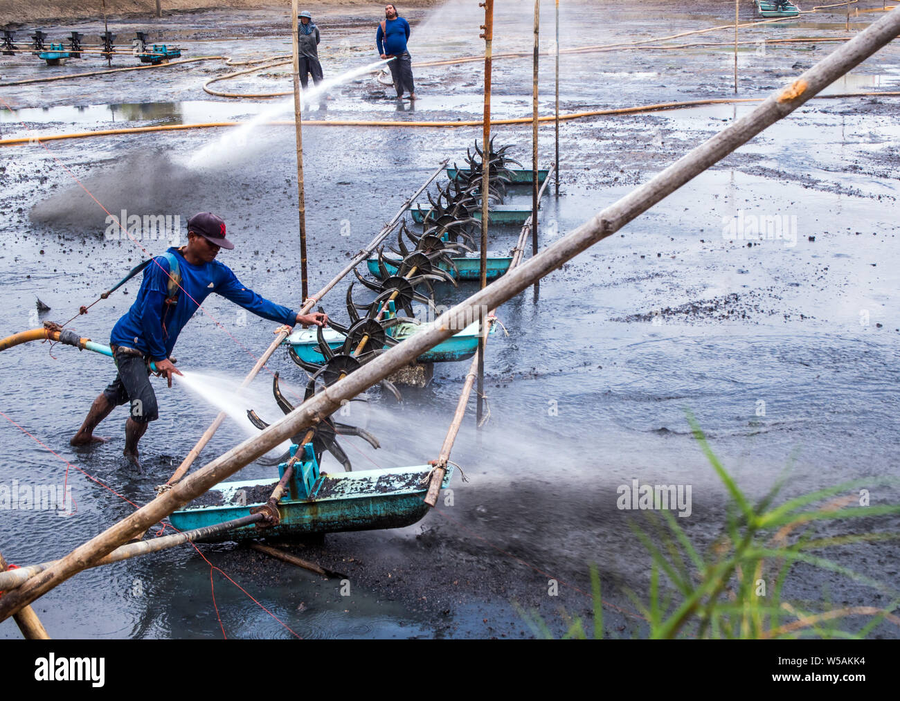 Black bottom mud hi-res stock photography and images - Alamy