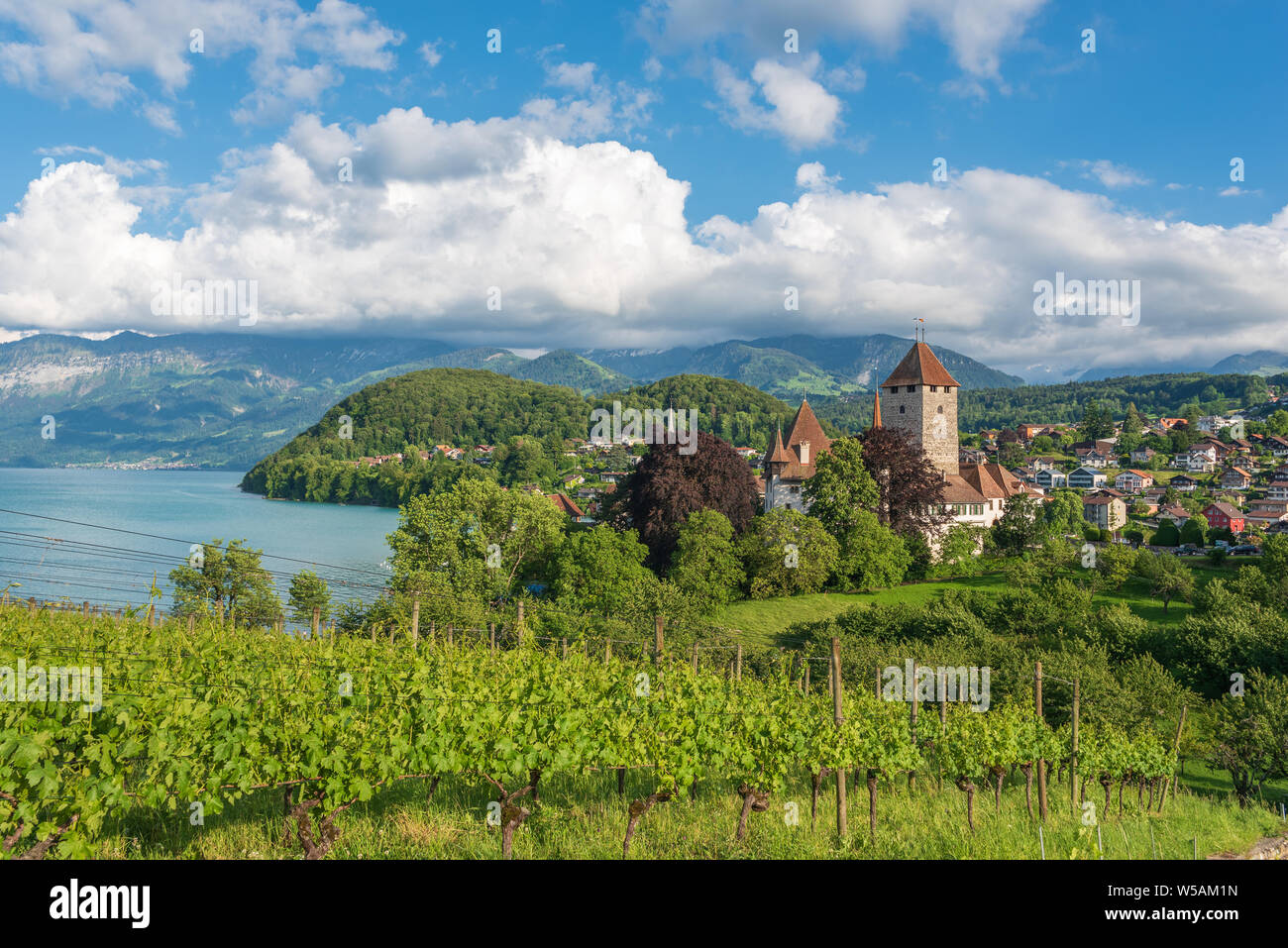 Spiez vineyard hi-res stock photography and images - Alamy