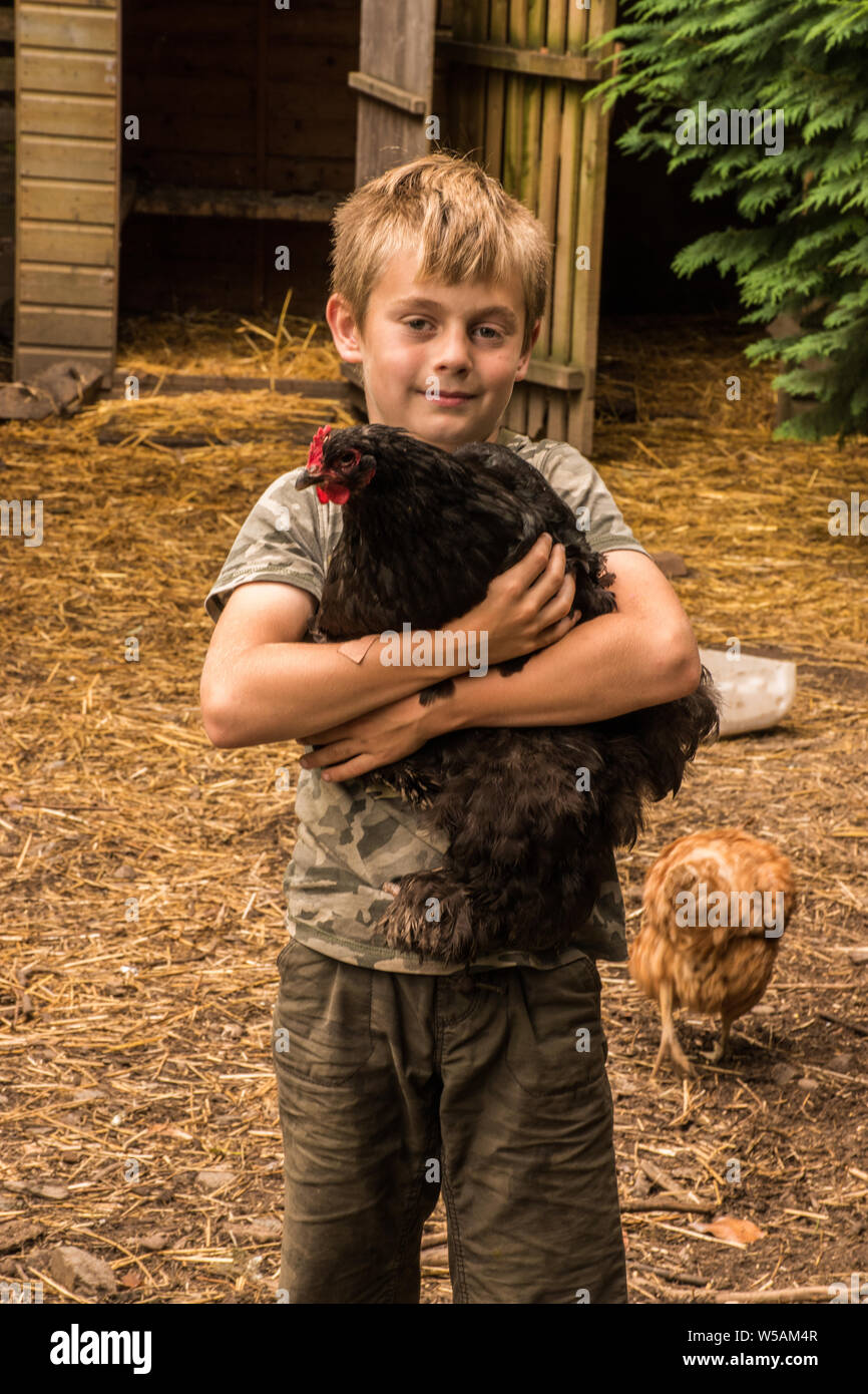 Young boy with his chickens Stock Photo - Alamy