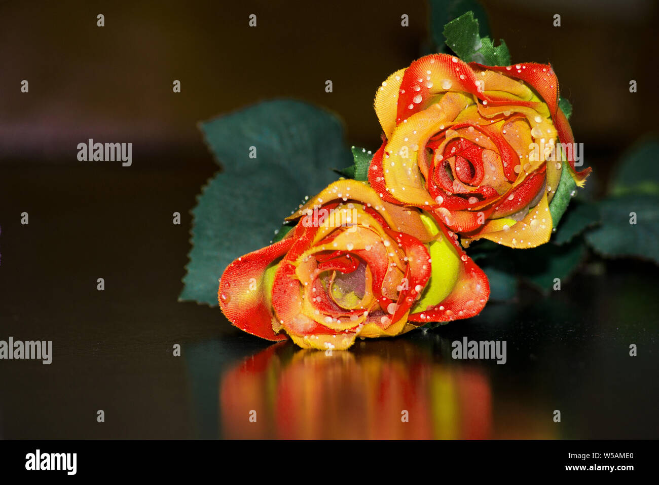 flowers of nature Stock Photo - Alamy