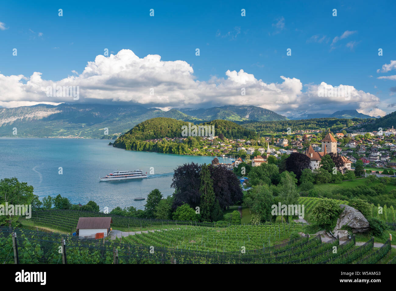 Spiez vineyard hi-res stock photography and images - Alamy