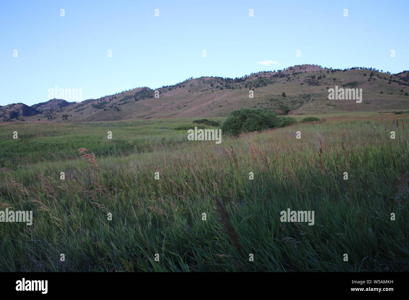 Foothills trailhead hi-res stock photography and images - Alamy