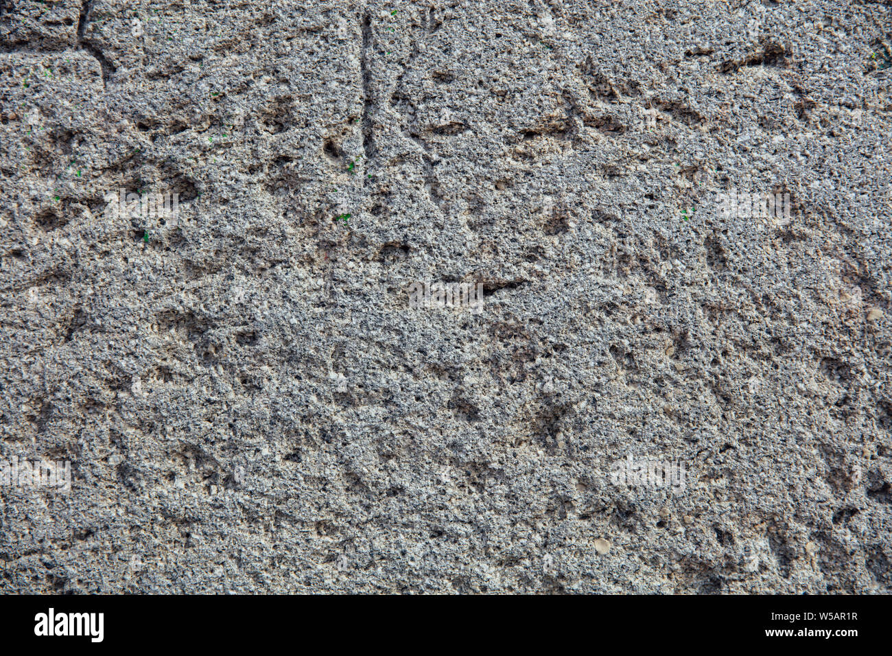 Detail of the texture of coarse grey granular wall Stock Photo - Alamy