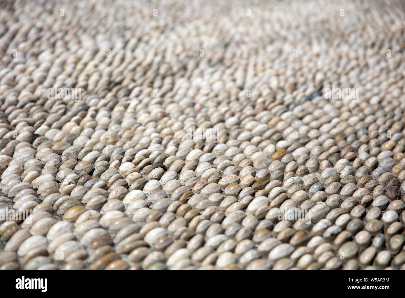Closeup detail of the oval stone pathway Stock Photo - Alamy