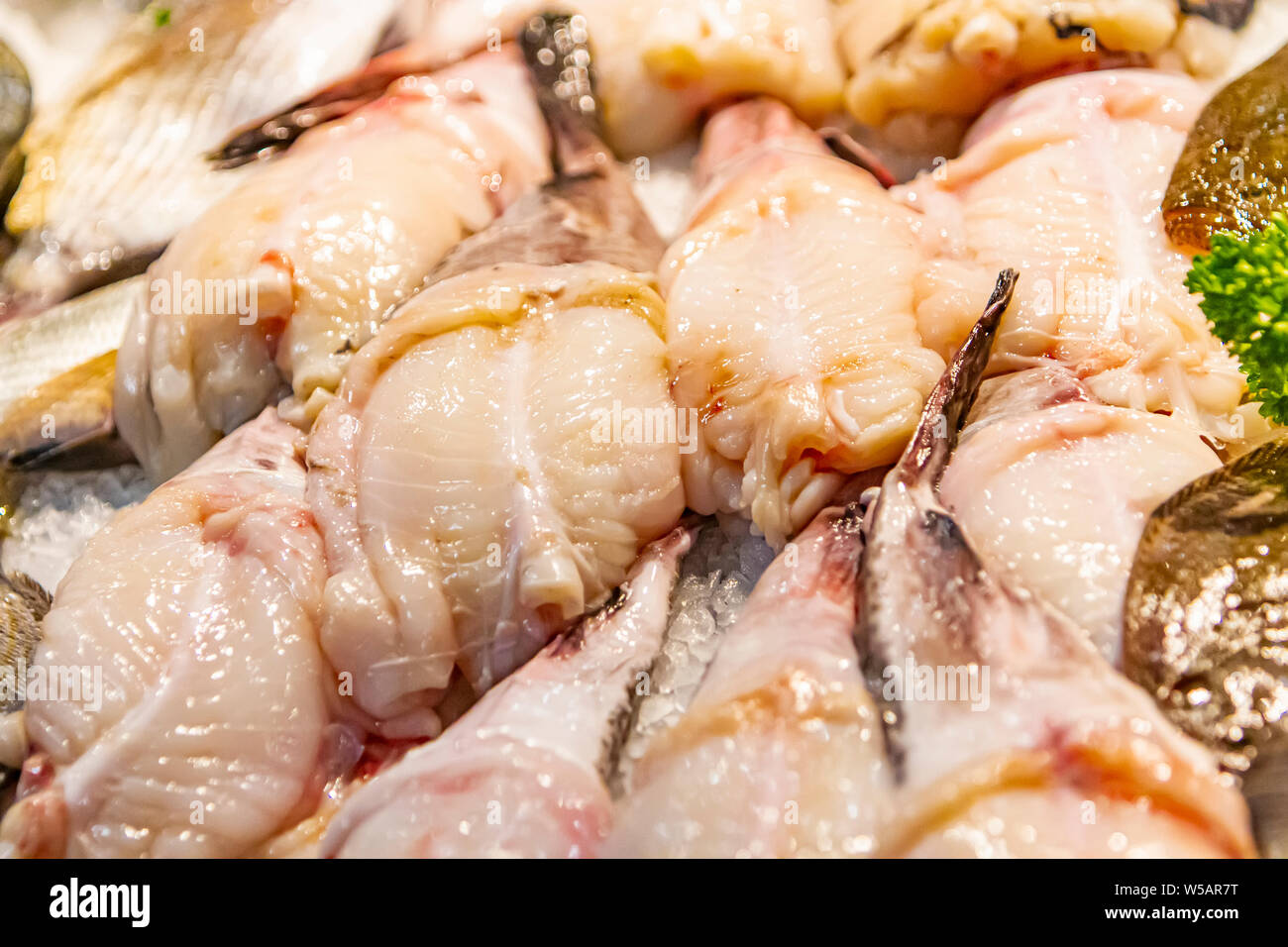 Monkfish lophius hi-res stock photography and images - Alamy