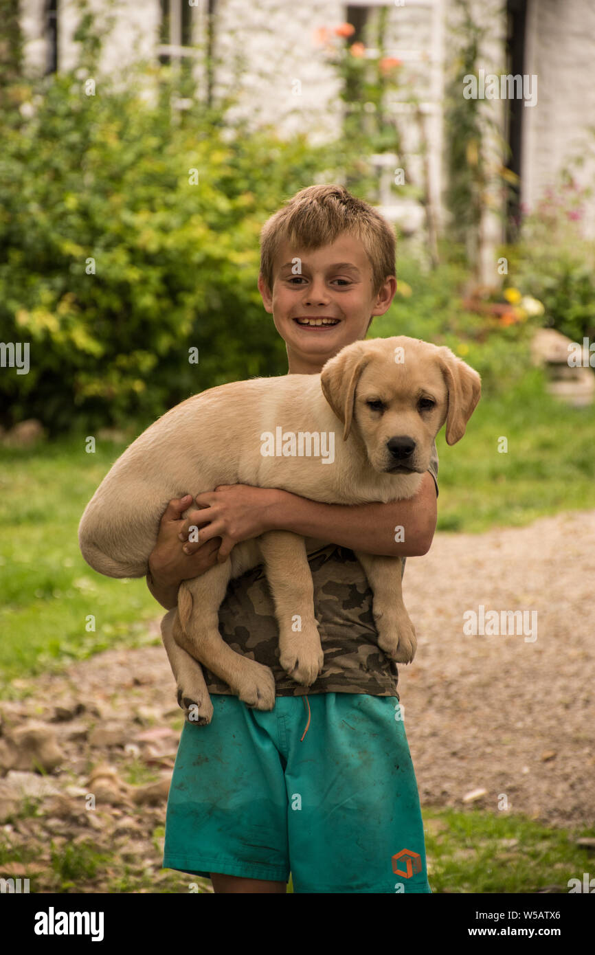 Young vets hi-res stock photography and images - Alamy