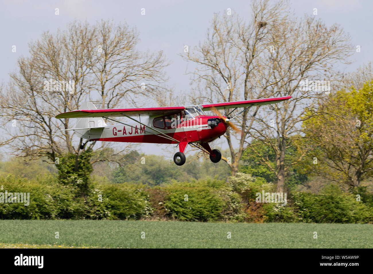 Auster arrow hi-res stock photography and images - Alamy
