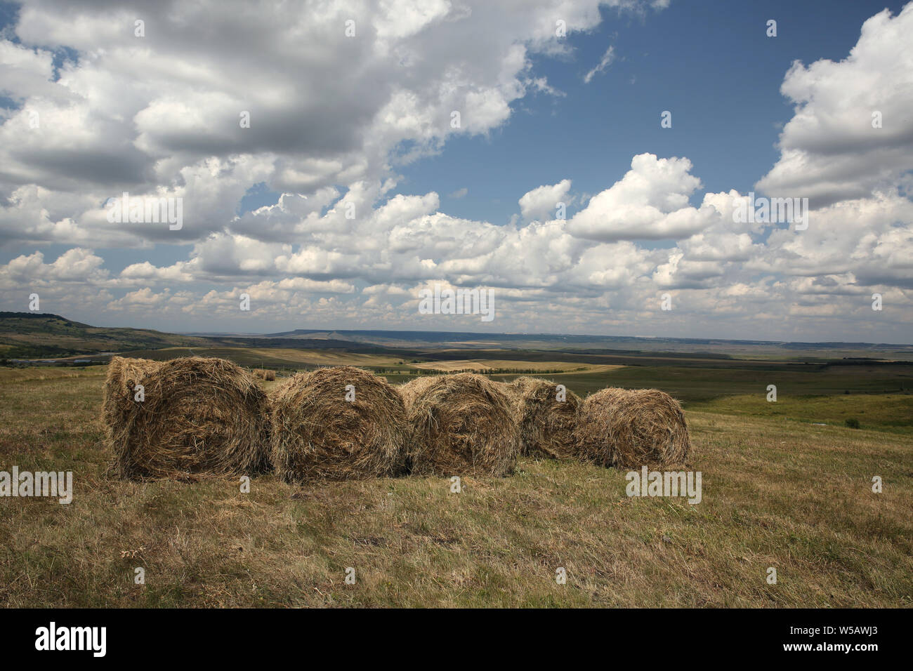 Rolled haystacks in a field Stock Photo - Alamy