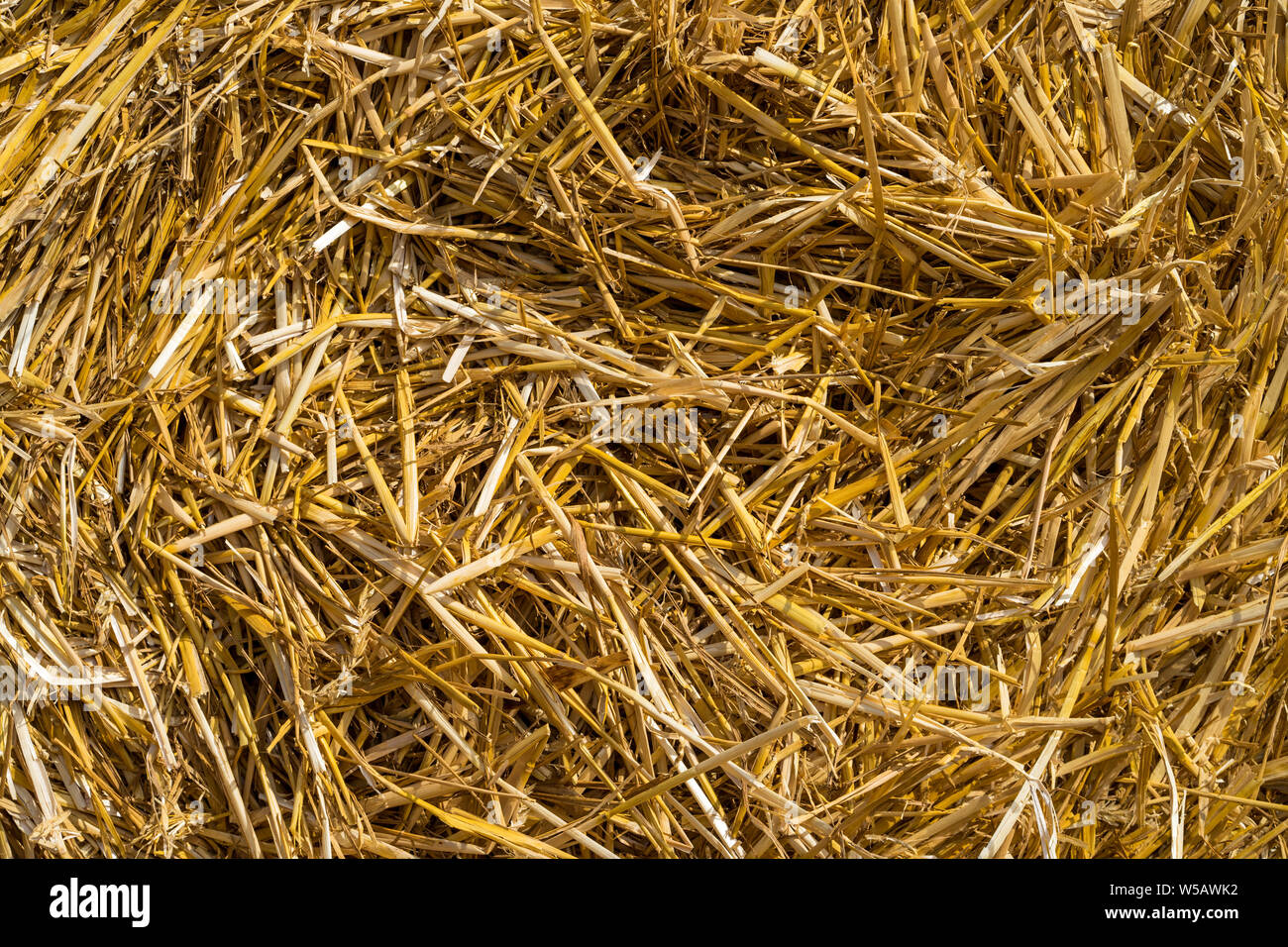 Straw bale texture hi-res stock photography and images - Alamy