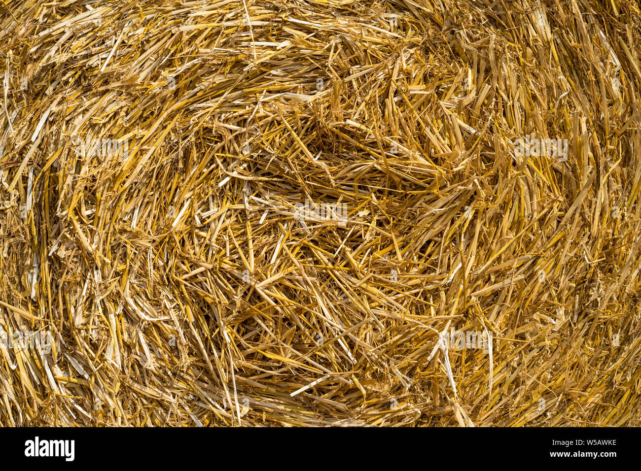 Straw bale texture hi-res stock photography and images - Alamy