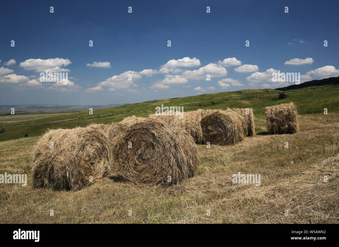 Rolled haystacks in a field Stock Photo - Alamy