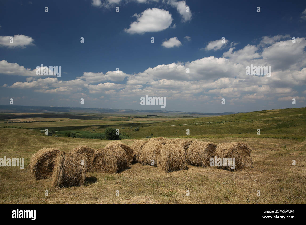 Rolled haystacks in a field Stock Photo - Alamy