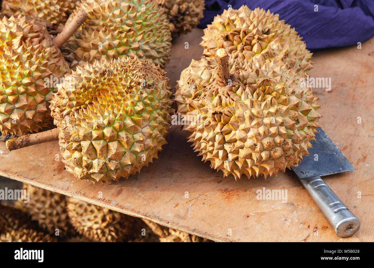 Durian fruits and a knife lay on a counter of marketplace. It is the ...