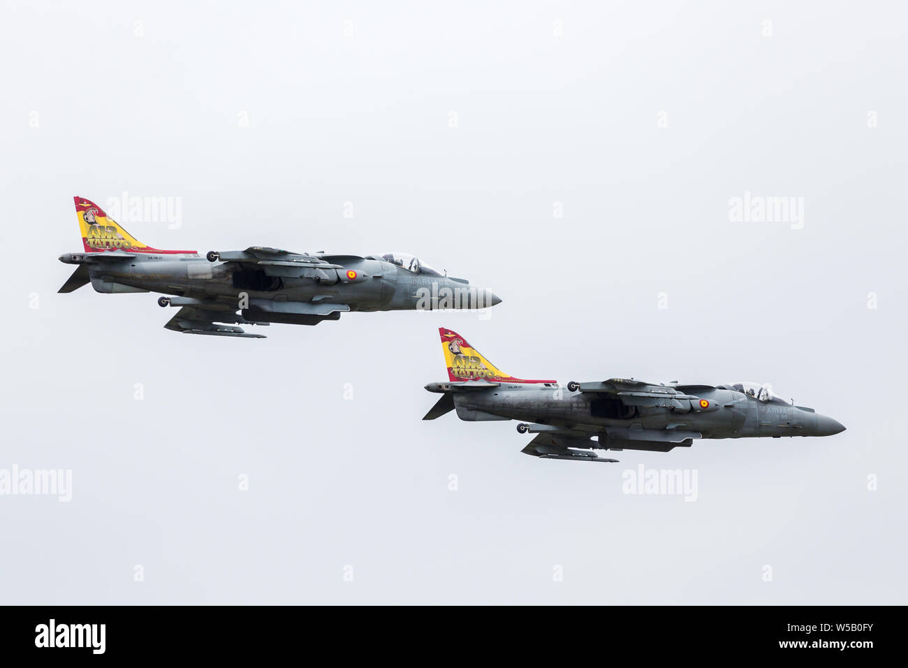 Harrier plus hi-res stock photography and images - Alamy