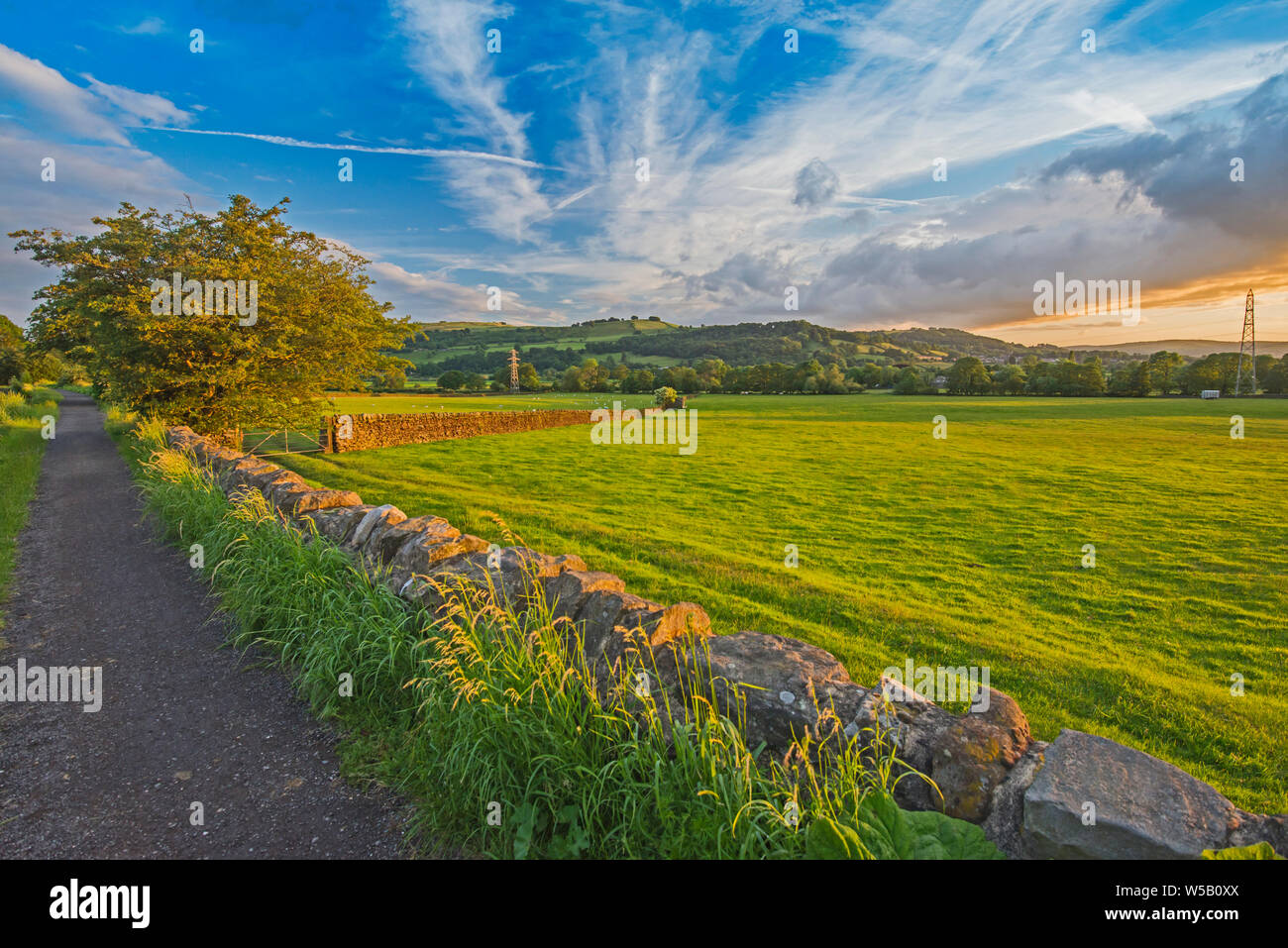Landscape view of rural countryside scenery with fields and meadows ...