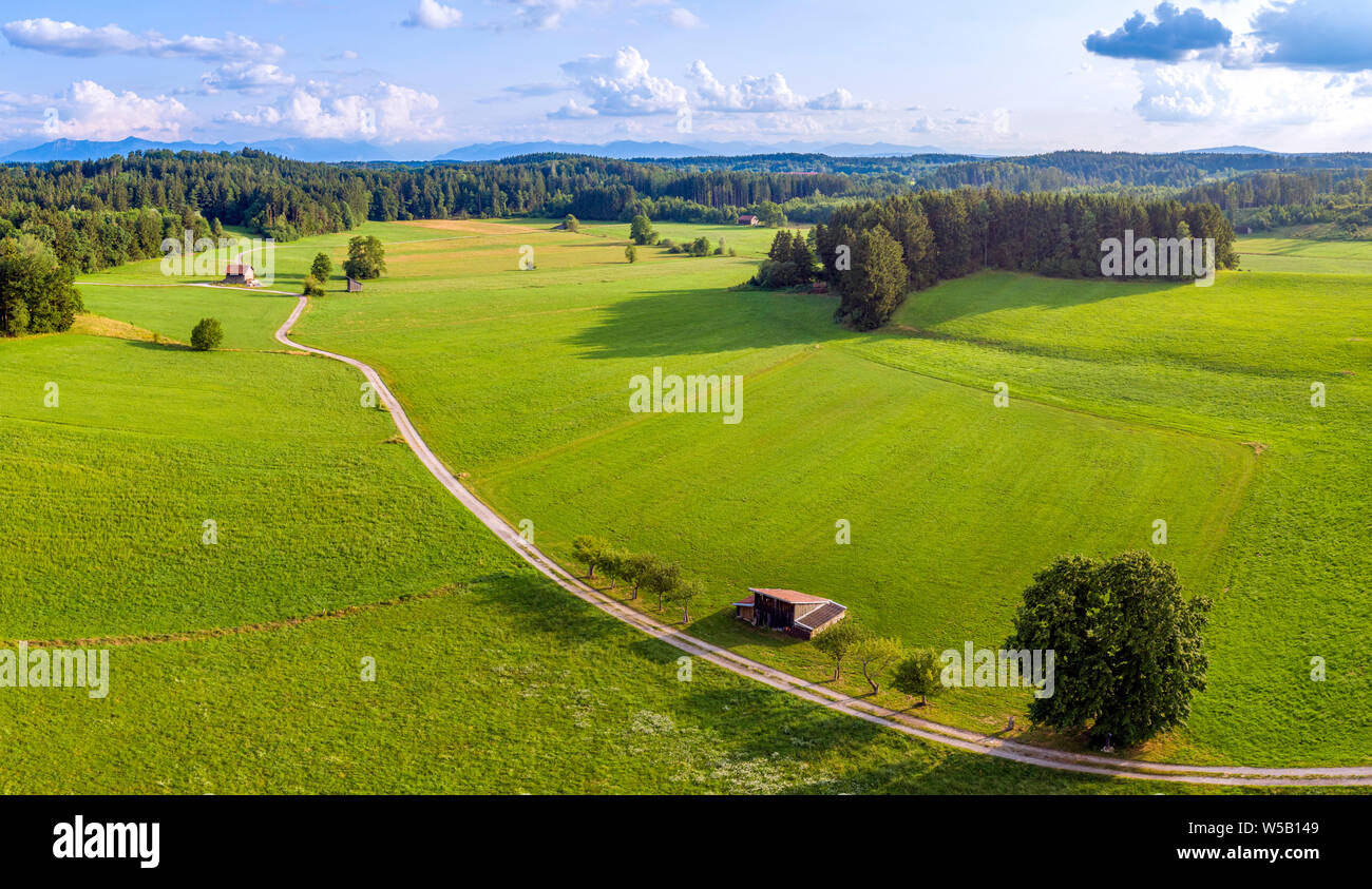 Landscape with green grassland in the Bavarian Alpine foothills, Upper ...