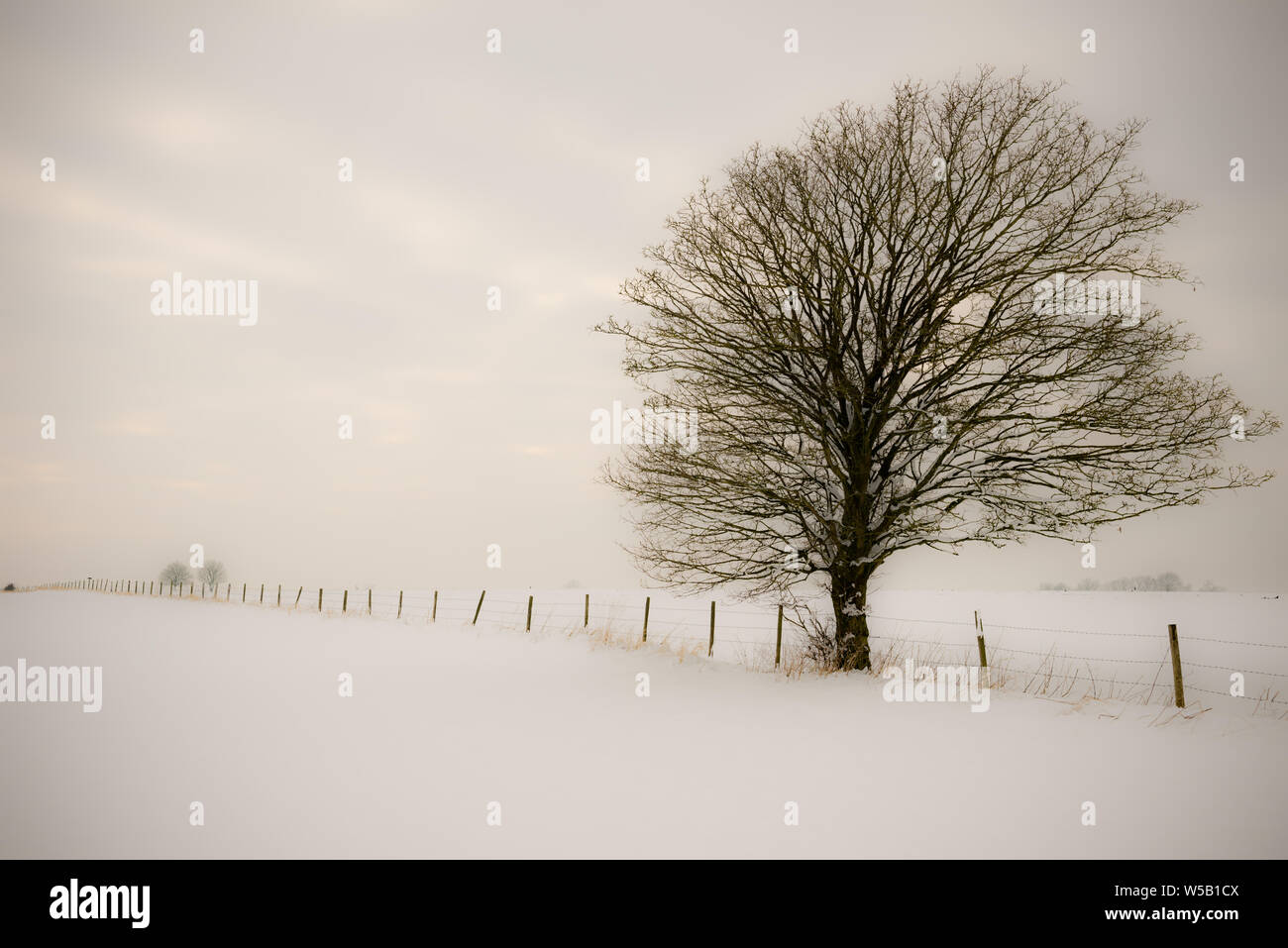 Minimal moody landscape hi-res stock photography and images - Alamy