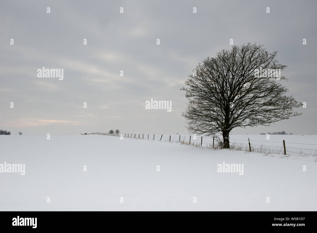 Minimal moody landscape hi-res stock photography and images - Alamy