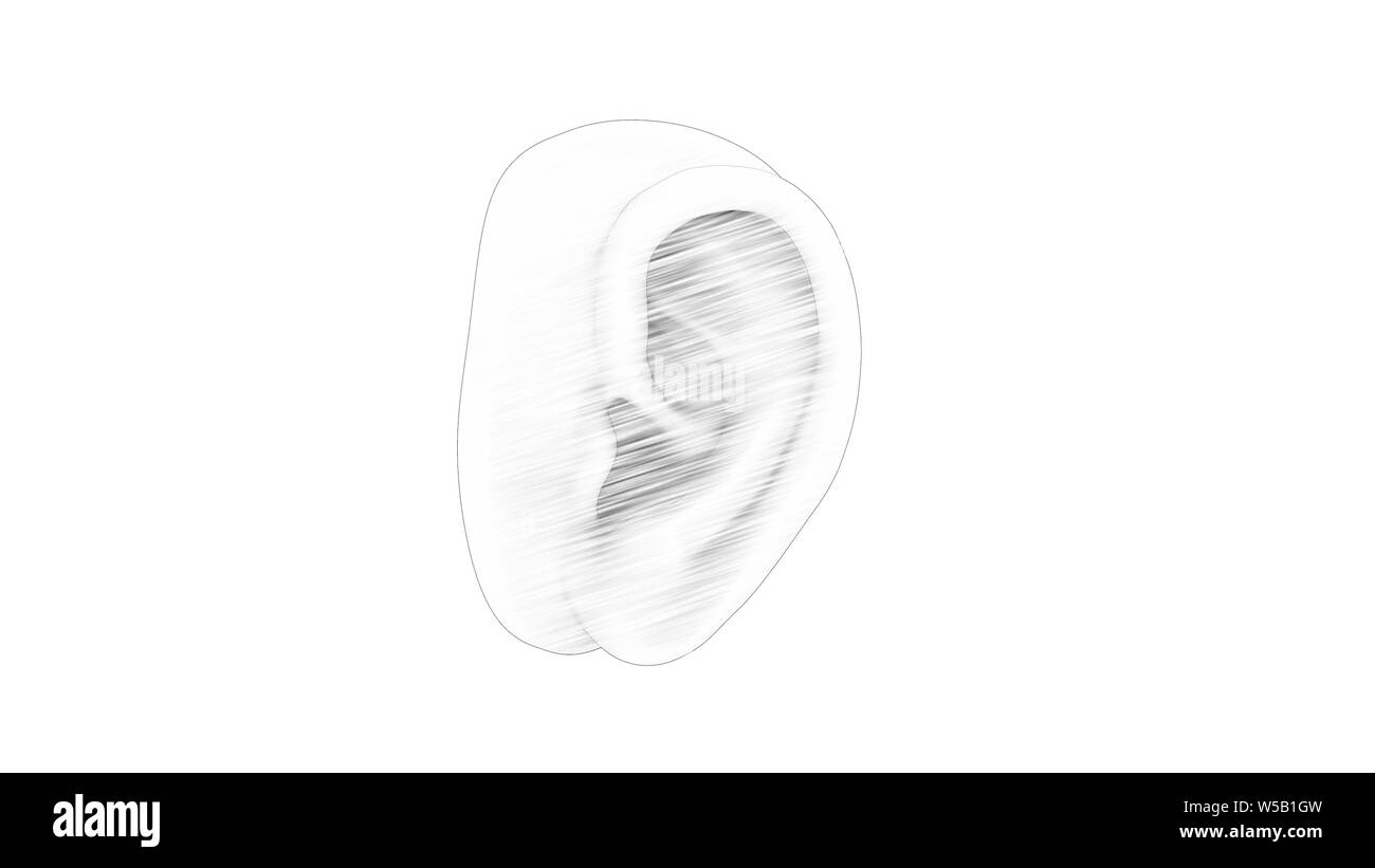 3d rendering of a human ear isolated in white studio background Stock ...