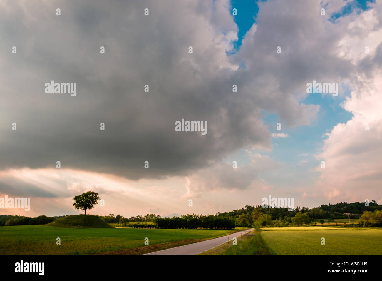 Fields of Friuli Venezia-Giulia in a stormy spring day Stock Photo - Alamy