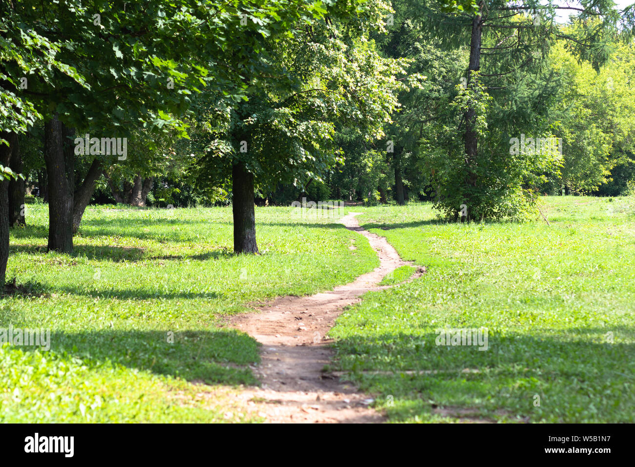 Path in summer park with trees and grass Stock Photo - Alamy