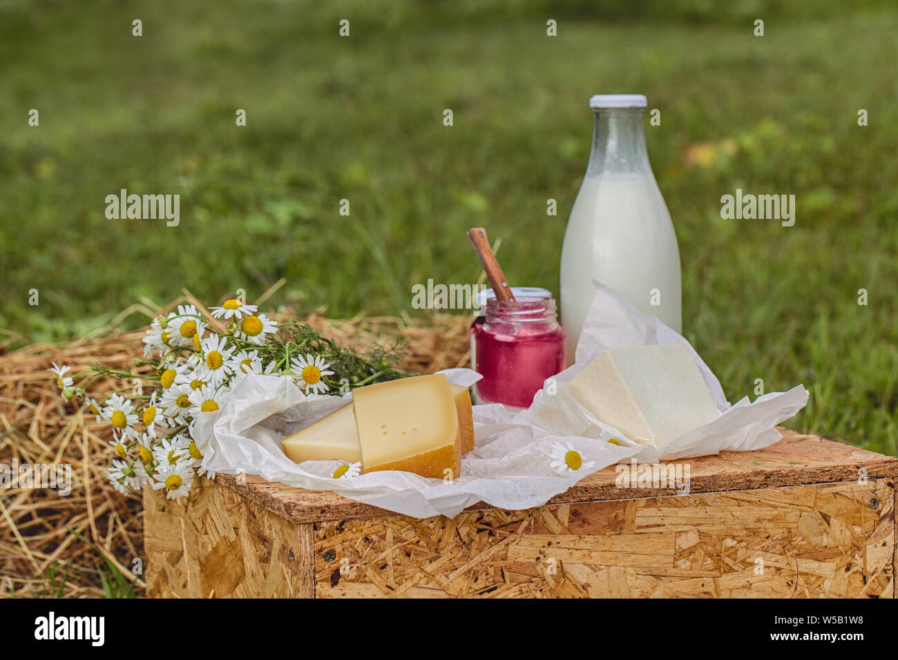 dairy products milk, cheese yogurt served at picnic table in a cheese ...