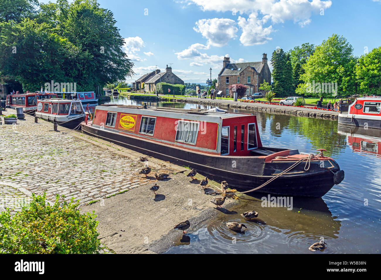 Scottish ducks hi-res stock photography and images - Alamy