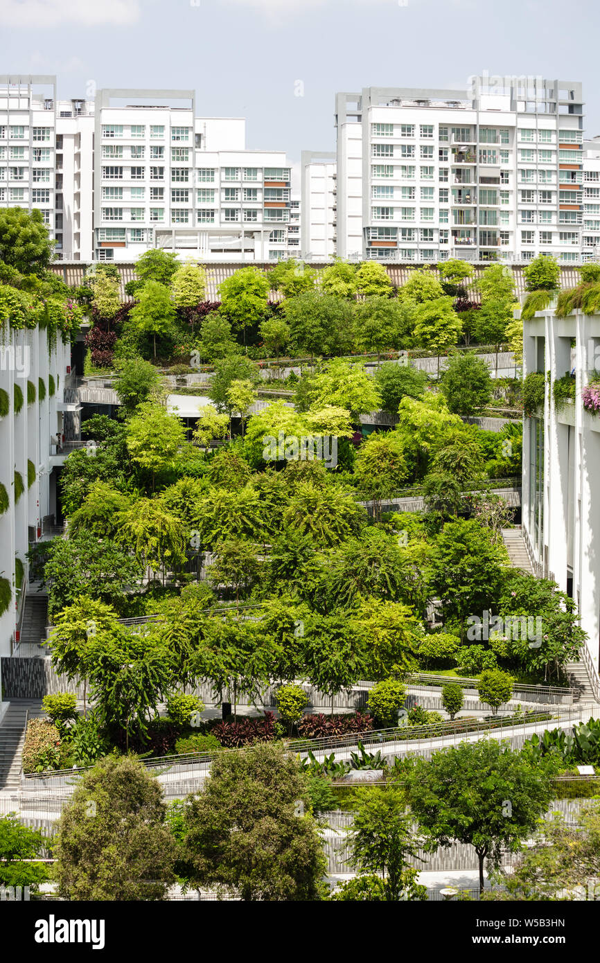Singapore-27 JUL 2019: HDB's first new generation neighborhood center ...