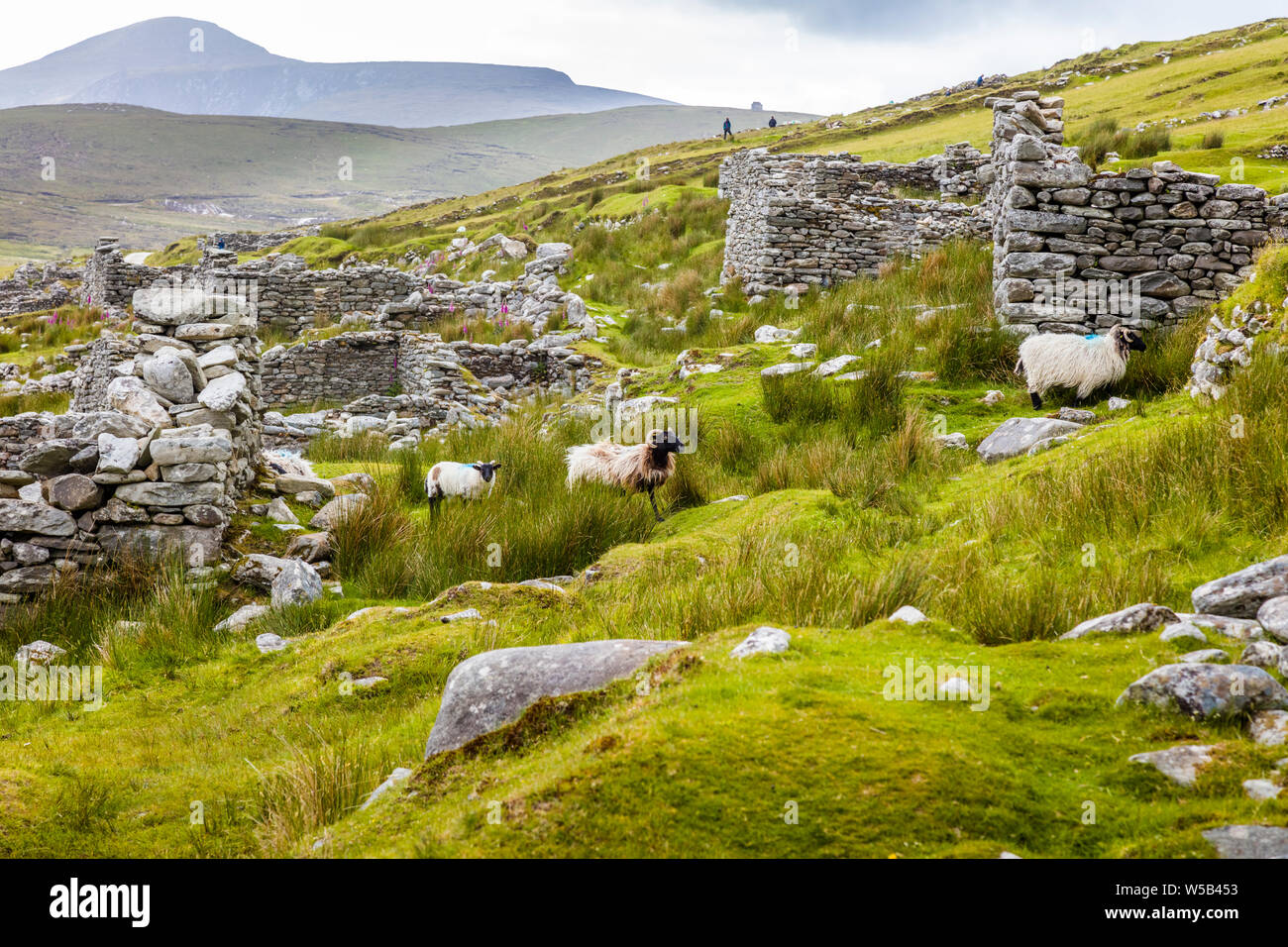 County mayo cottage hi-res stock photography and images - Alamy