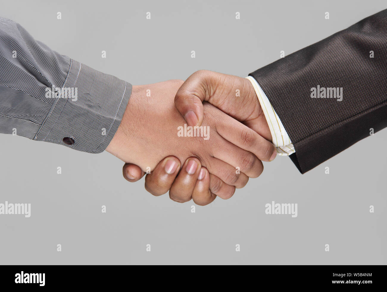 Two business executives shaking hands Stock Photo - Alamy