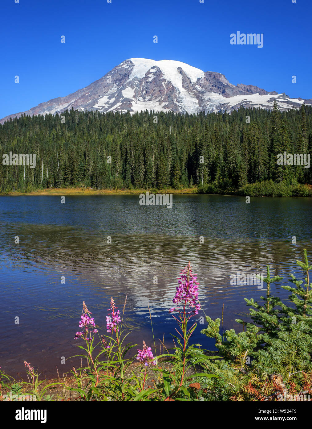 Encompassing view hi-res stock photography and images - Alamy