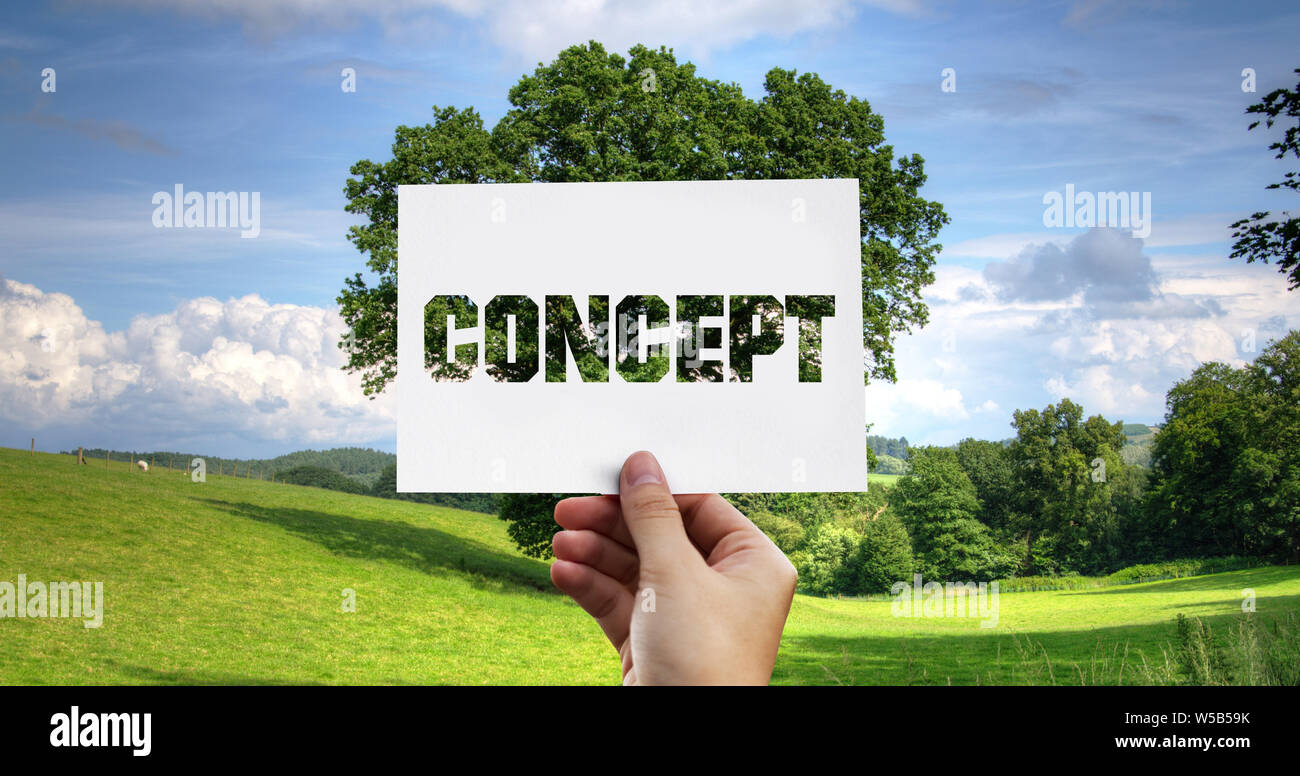 Word ' Concept' Stock Photo - Alamy