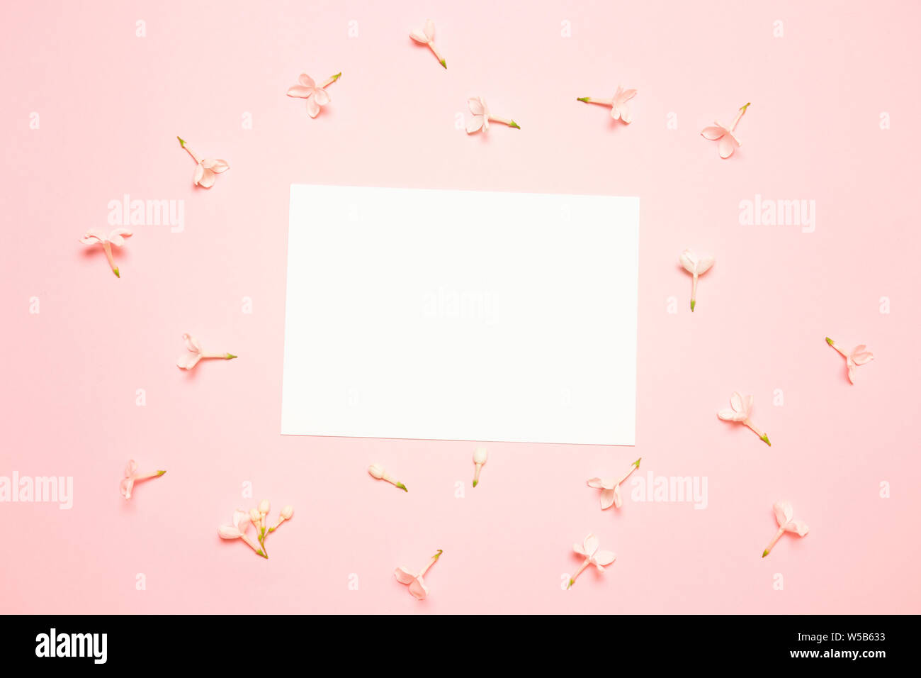 Flat lay of blank paper card with copy space mock up Stock Photo - Alamy