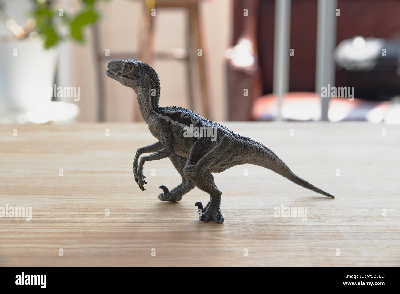 Children's toy ancient predator dinosaur on a wooden table in a room ...