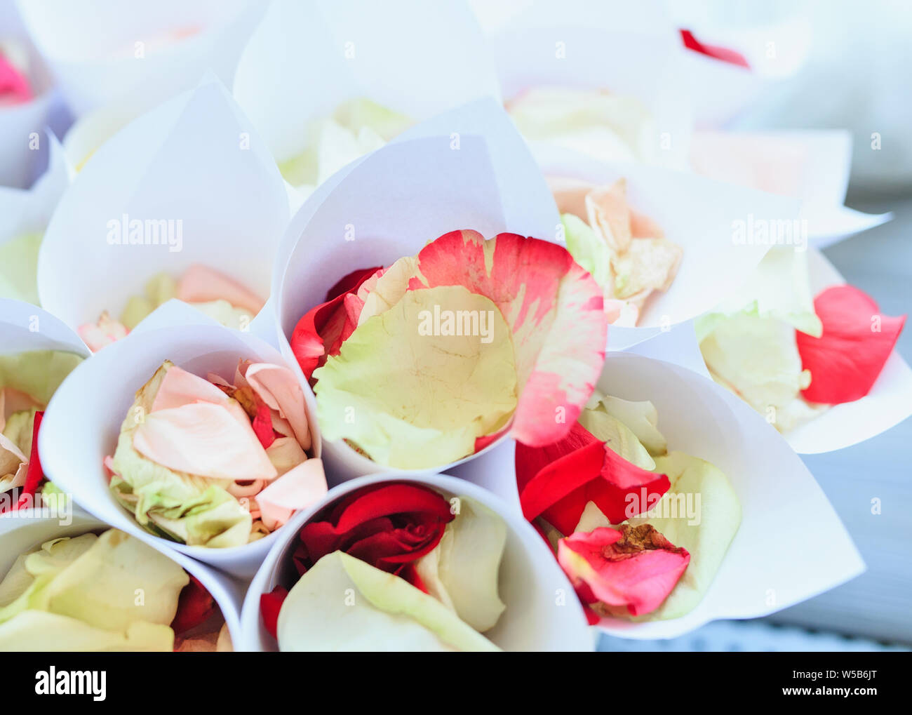 Rose petal in a paper cone for wedding ceremony Stock Photo - Alamy