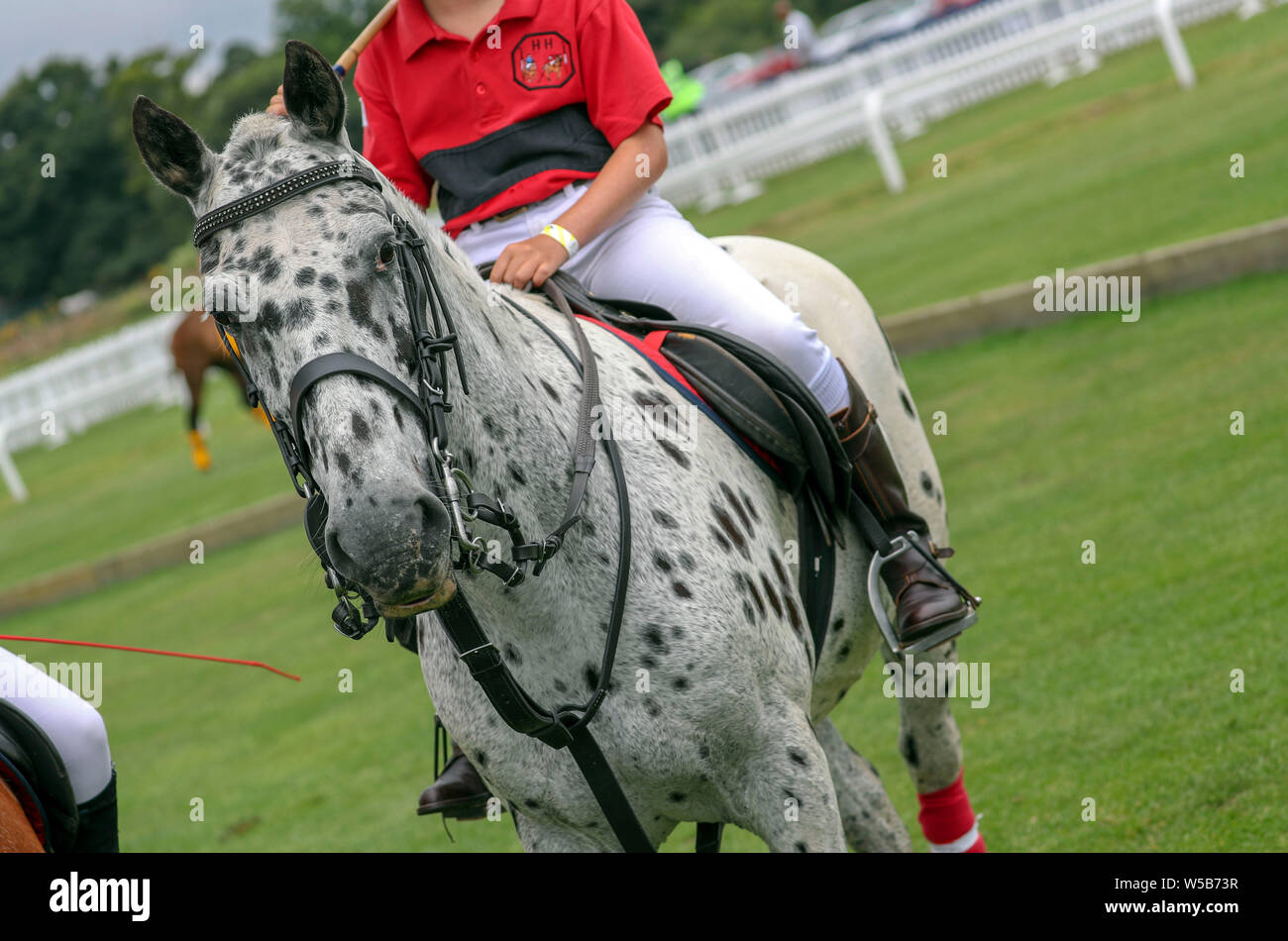 Hurlingham polo international day 2019 royal county berkshire polo club ...