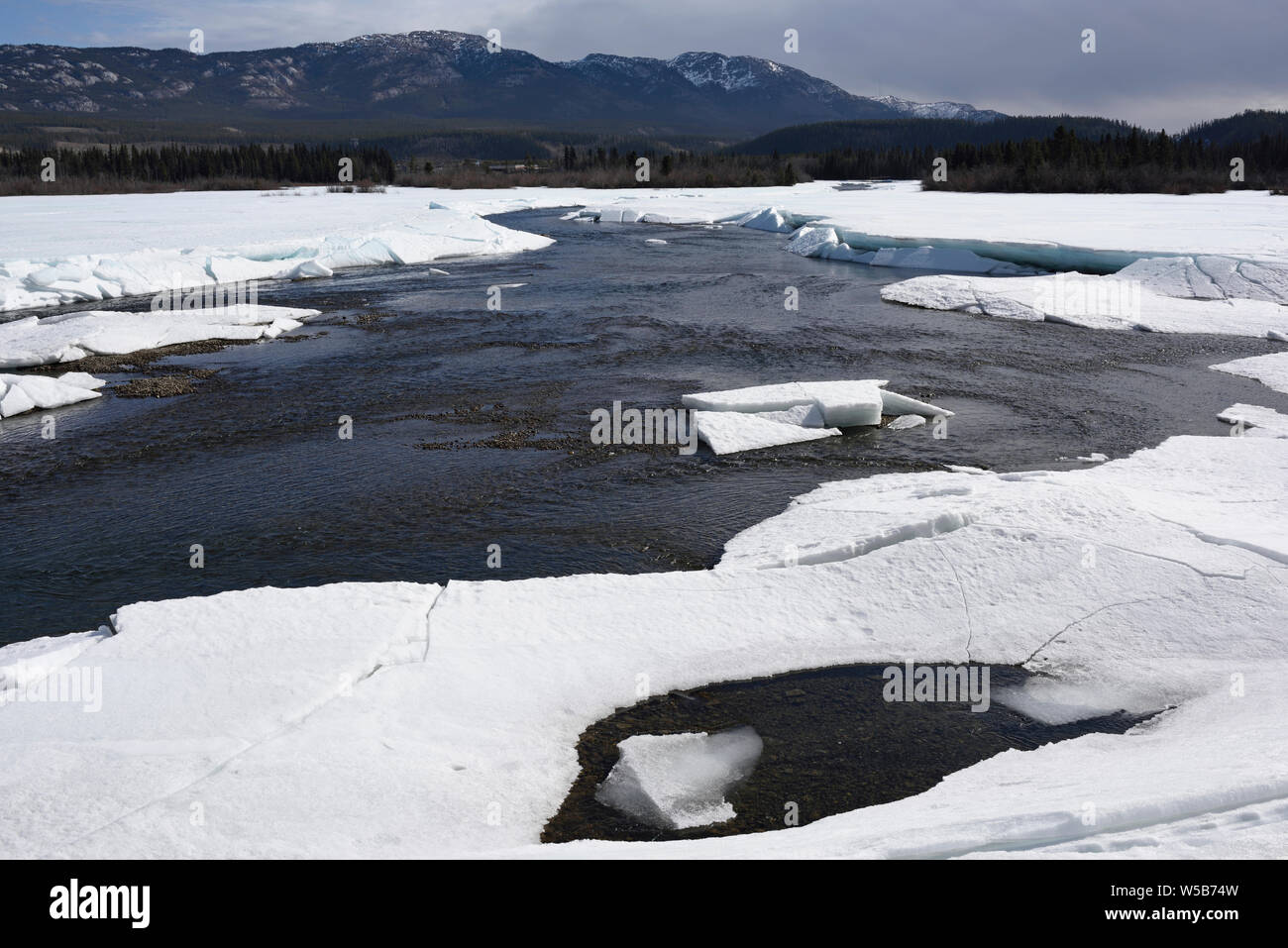 Melting ice in the Yukon River, Whitehorse, Yukon, Canada Stock Photo ...
