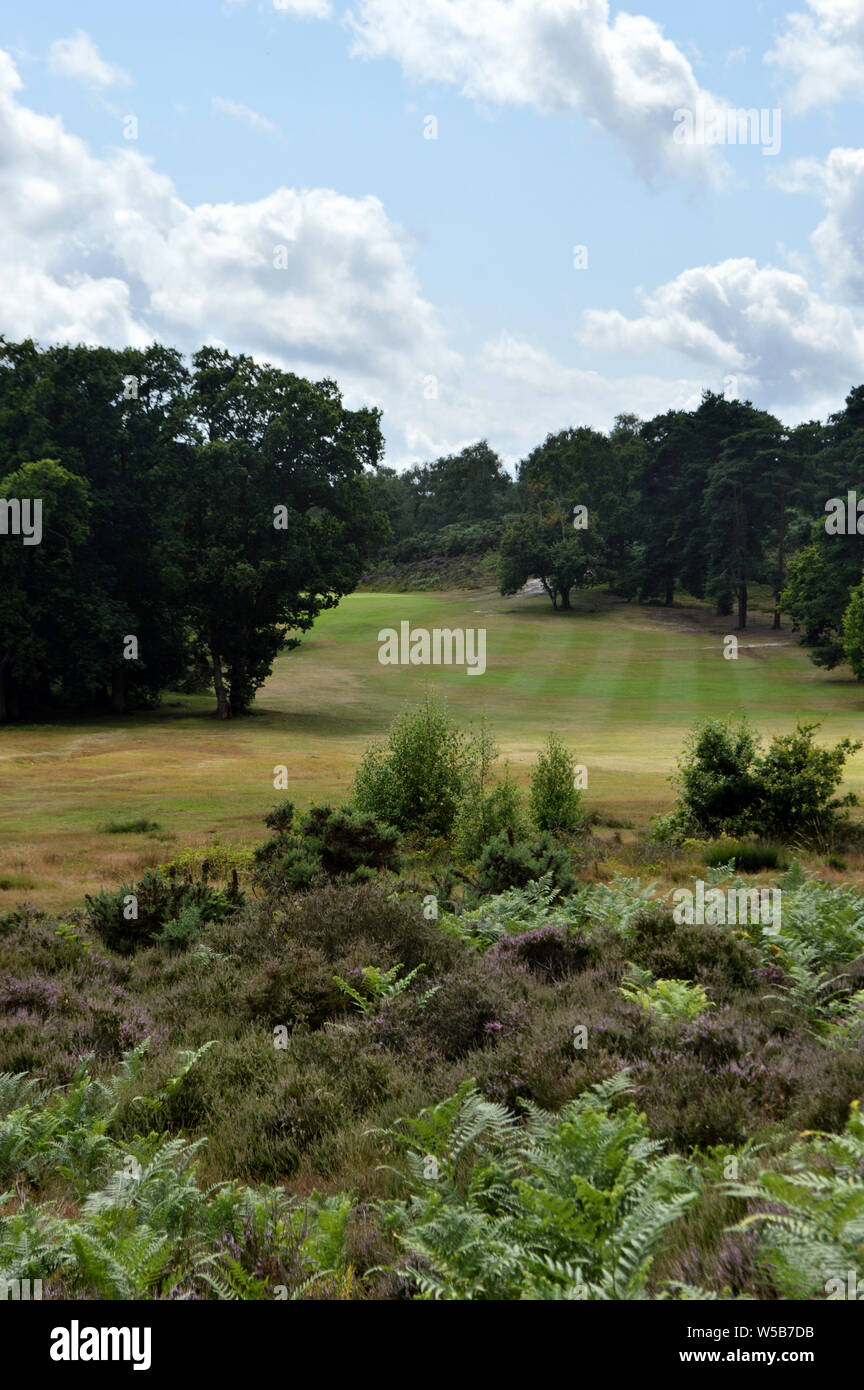 Reigate town center Stock Photo - Alamy