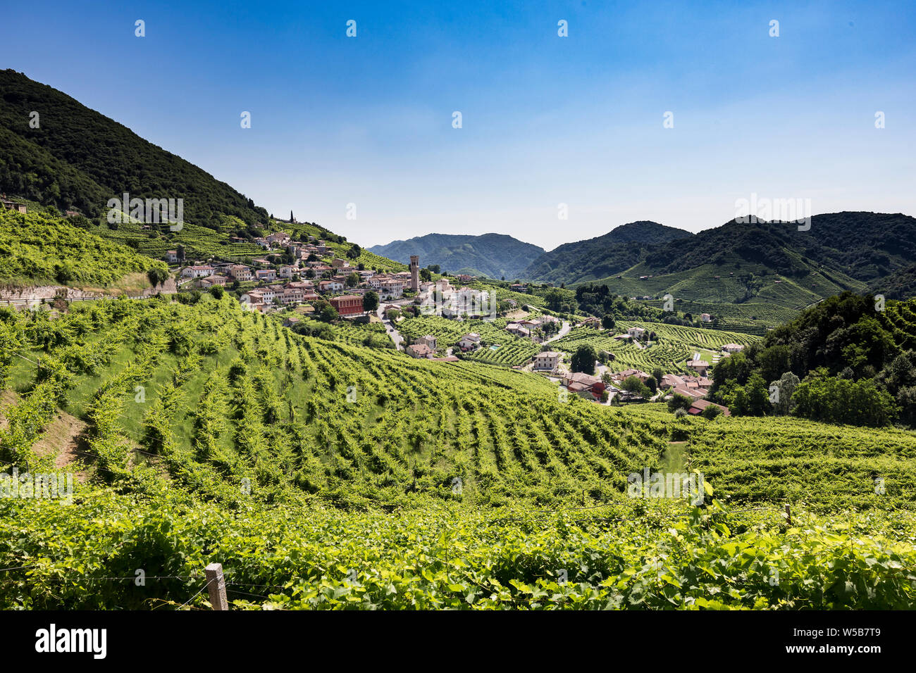 Prosecco area hi-res stock photography and images - Alamy