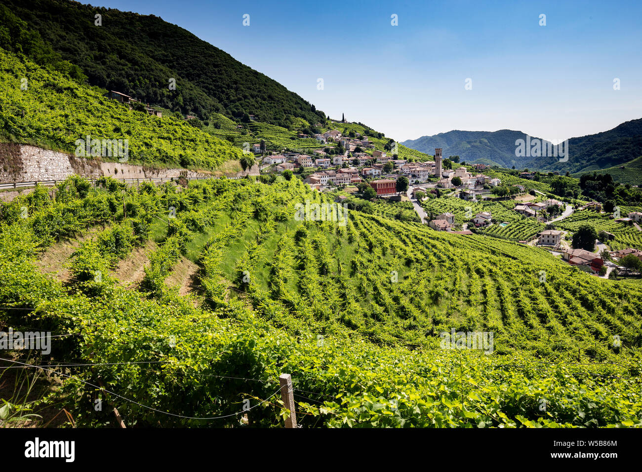 Prosecco docg hi-res stock photography and images - Alamy