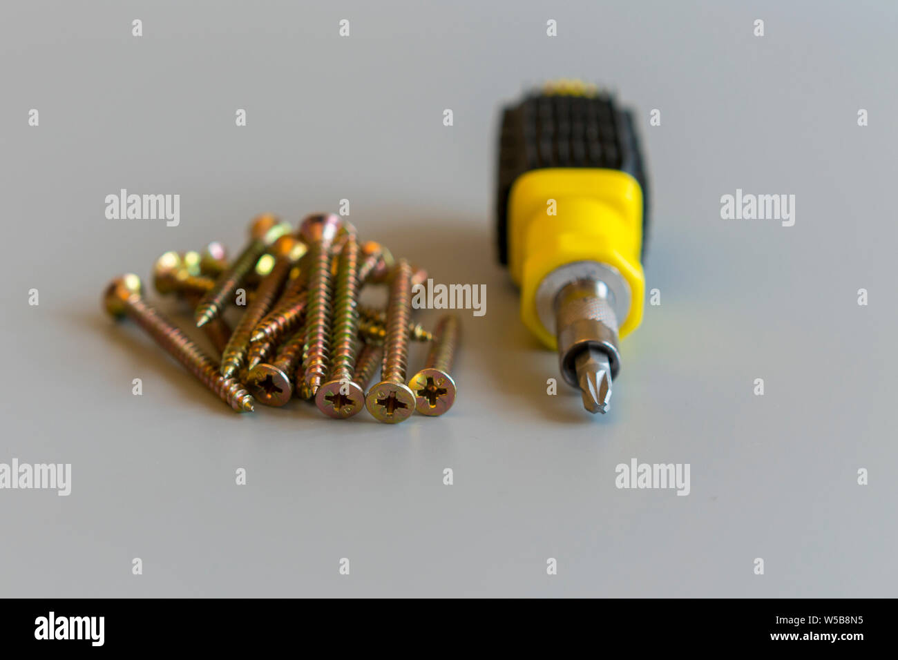 screwdriver and bolts isolated on gray background. Repair and ...