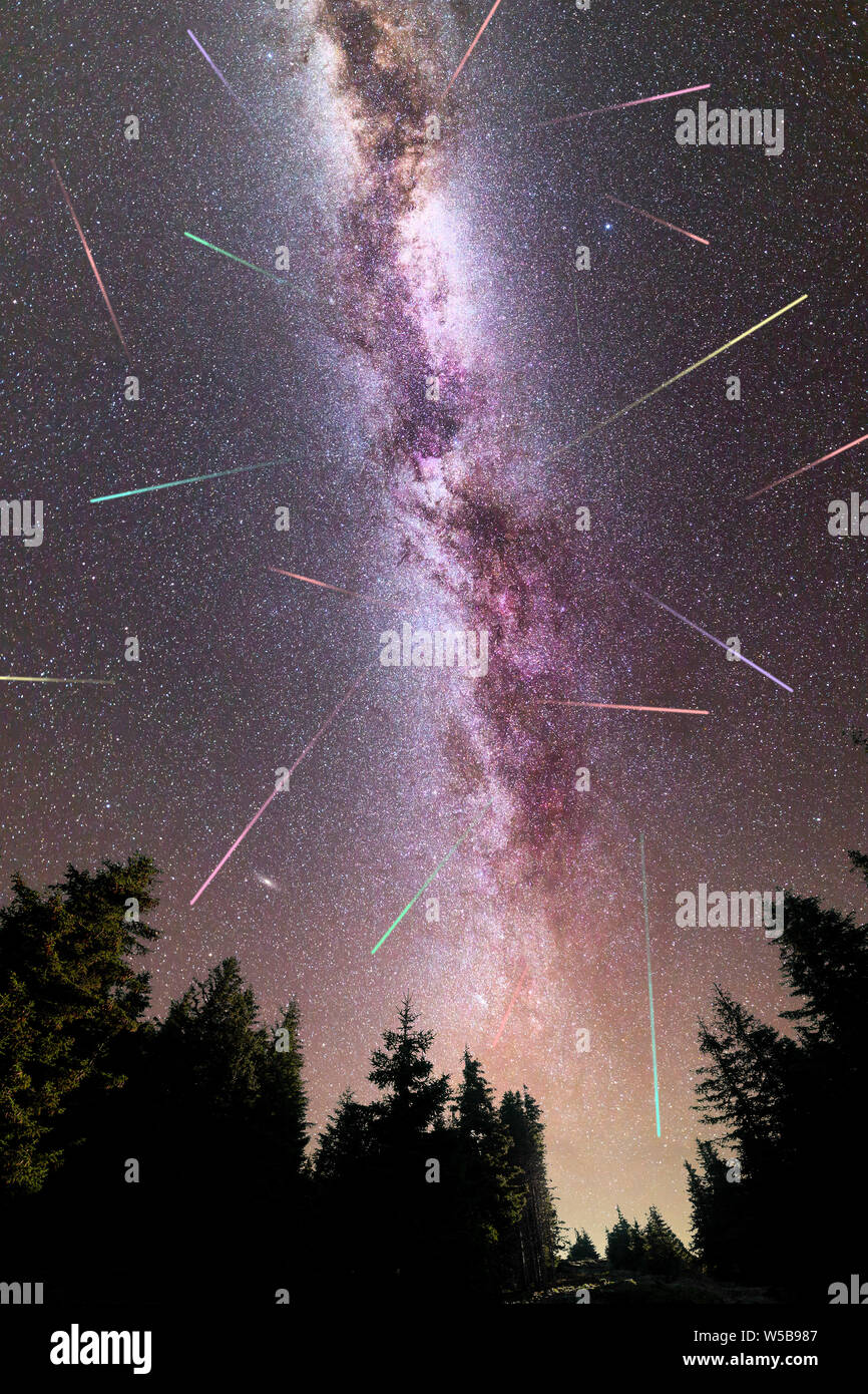 A view of a Meteor Shower and the purple Milky Way with pine trees ...